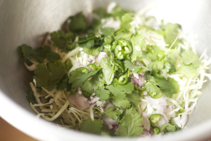 The Story of Our Namesake - Mandarava